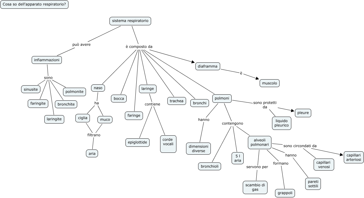 map conc apparato respiratorio giacomo b